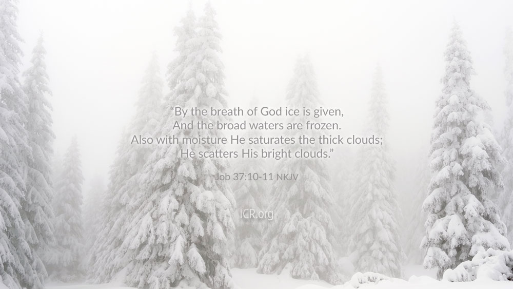 January Wallpaper Bible 2022 2023 Wall Calendar,Bible Verse Calendar