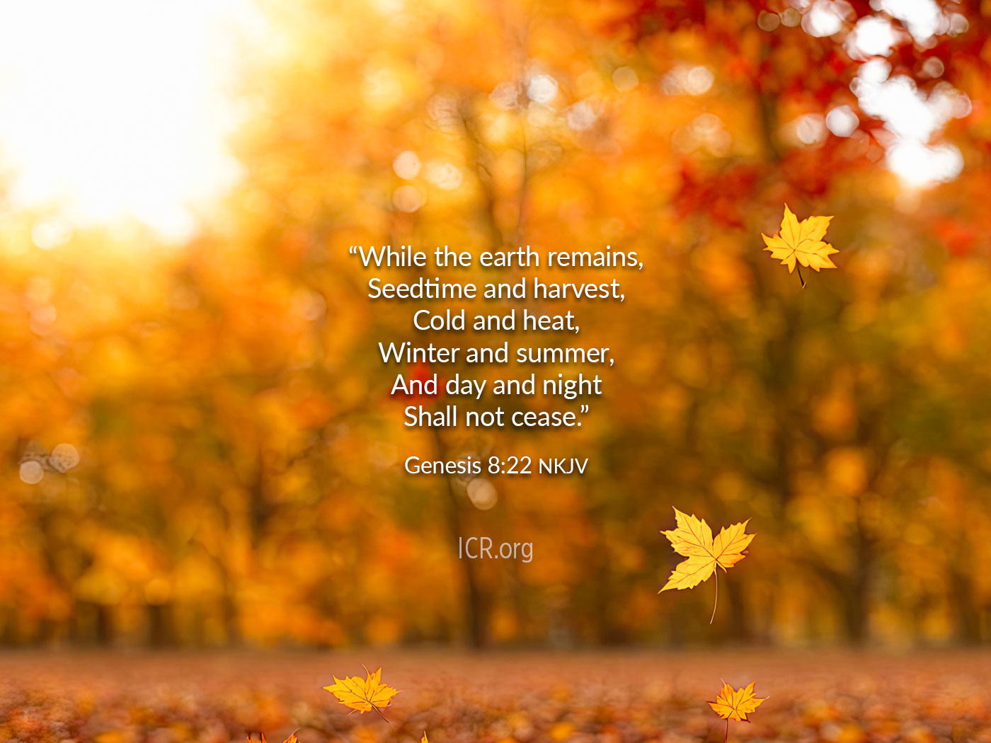 November 2023 ICR Wallpaper The Institute For Creation Research