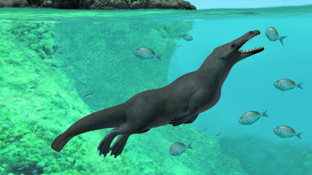 The Ice Age and the Scattering of Nations | The Institute for Creation ...