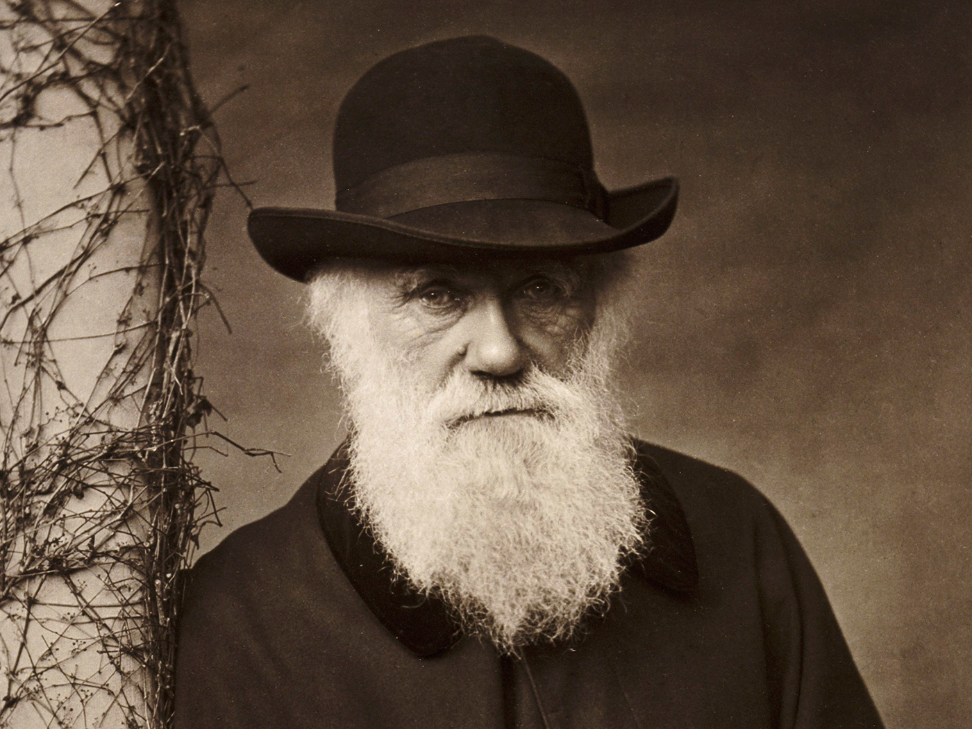 Evolutionists Celebrate Darwin Day | The Institute for Creation Research