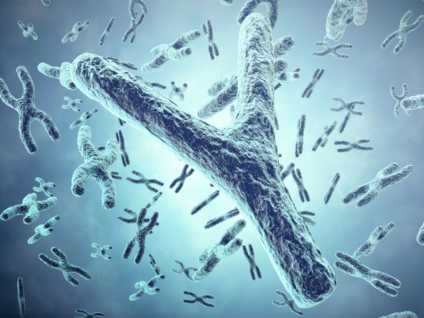 New DNA Sequences of the Y Chromosome Refute Human-Ape Evolution | The ...