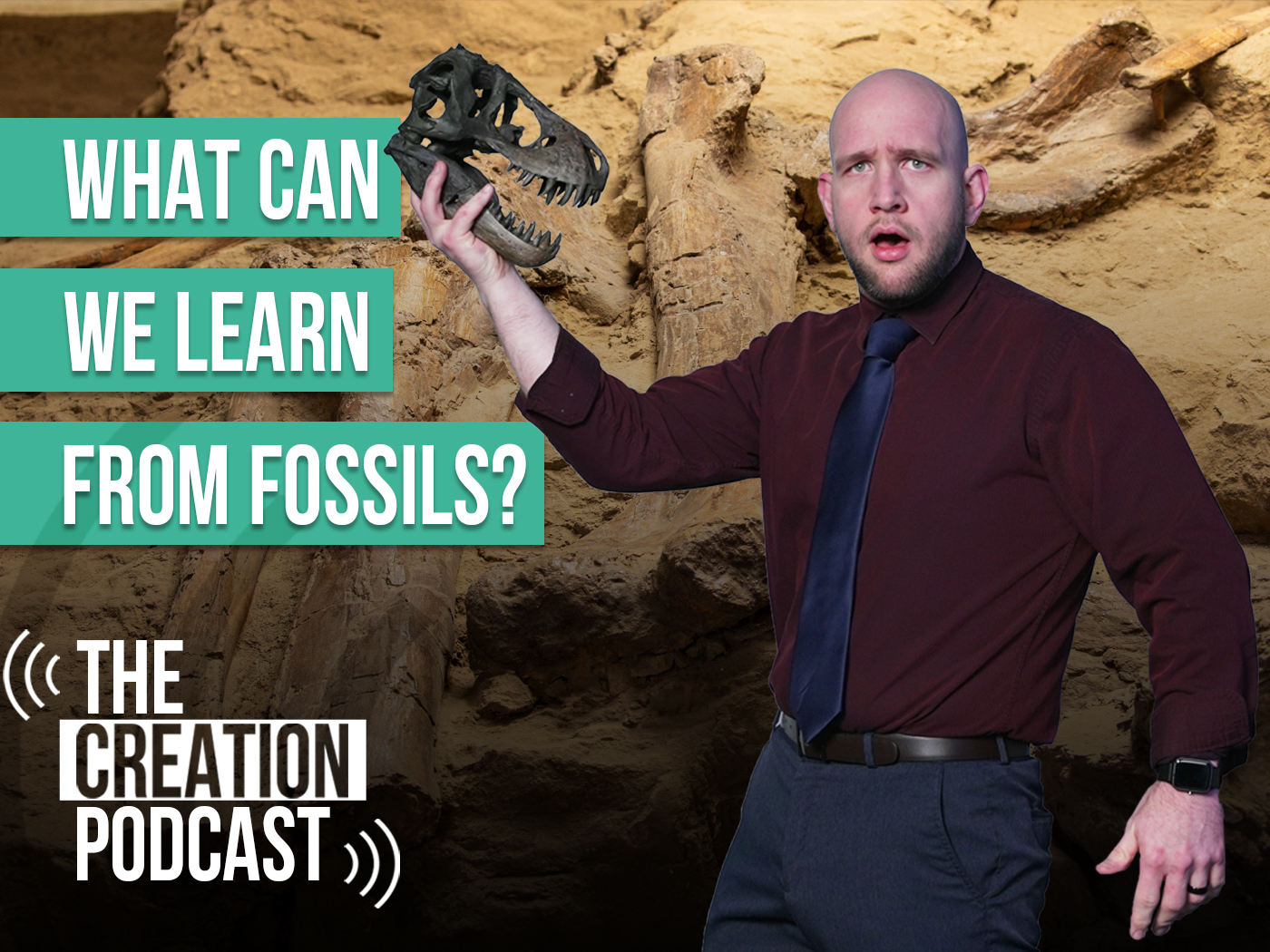 What Are Polystrate Fossils? | The Institute for Creation Research