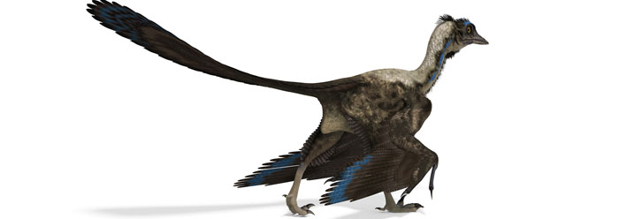 Did Dinosaurs Evolve into Birds? | The Institute for Creation Research Did Dinosaurs Evolve into Birds? | The Institute for Creation Research