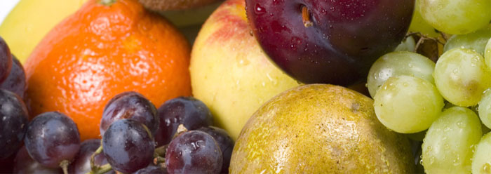 Edenic Diet Keeps Out Kidney Stones | The Institute for Creation Research