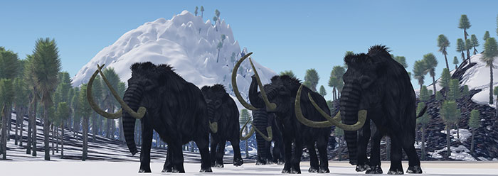 Wooly Mammoth Mystery Finally Solved? | The Institute for Creation Research